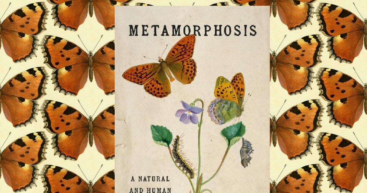 The magic and meaning of metamorphosis | TPR