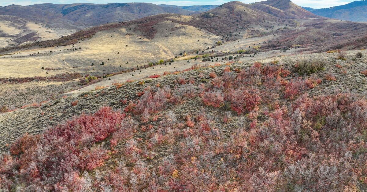 Summit Land Conservancy finalizes conservation easement on 2,800-acre ranch