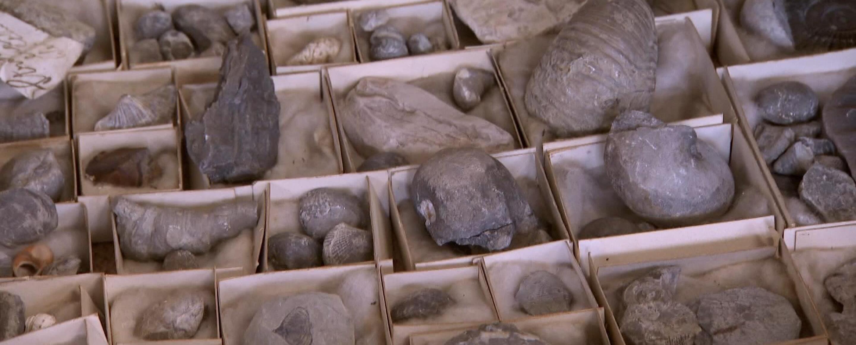 James Braxton and Arusha Irvine, Day 4