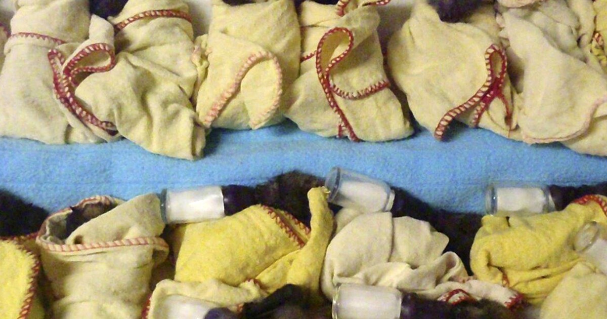 While U.S. Shivers, Australia And Brazil Sizzle | TPR