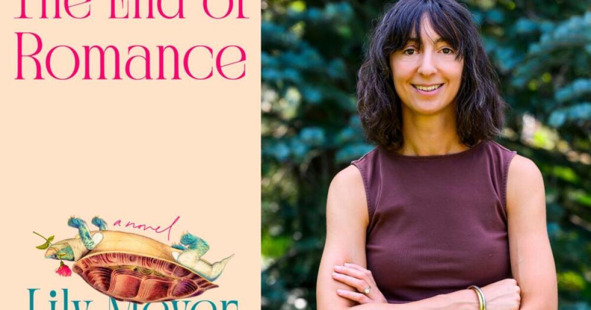 This anti-romance romance novel explores connection between love and ...