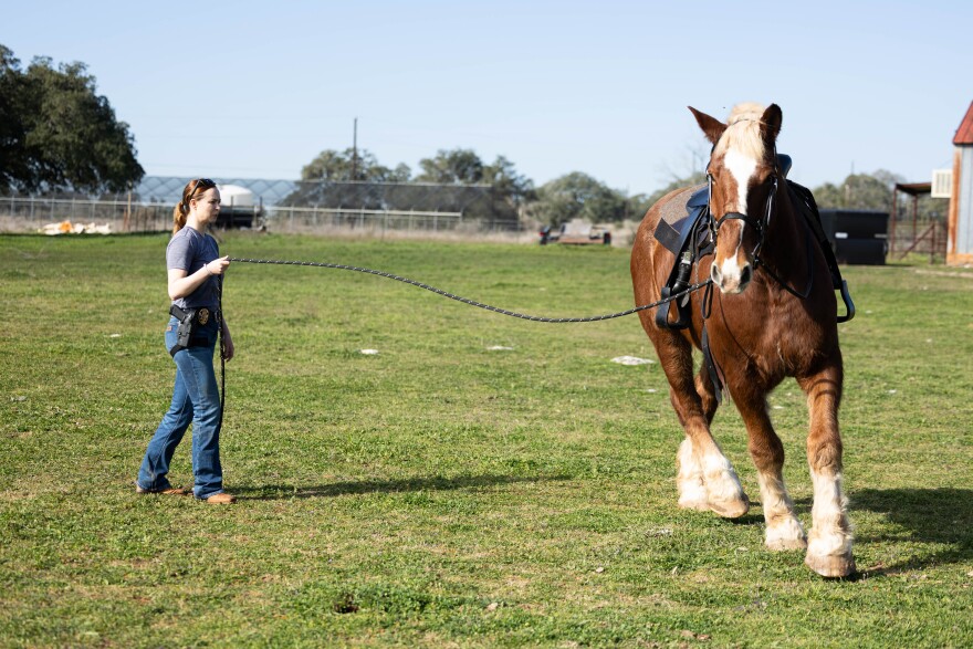 Texas State University is swearing in two new officers: Horses Duke and ...