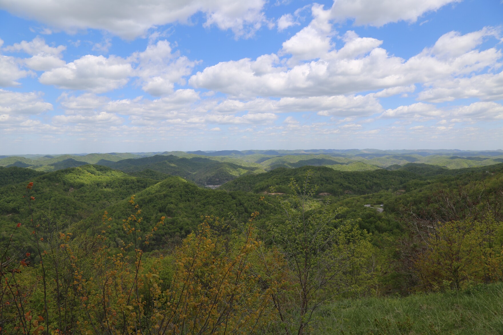 A new study warns Kentucky’s climate risks are growing | WKMS