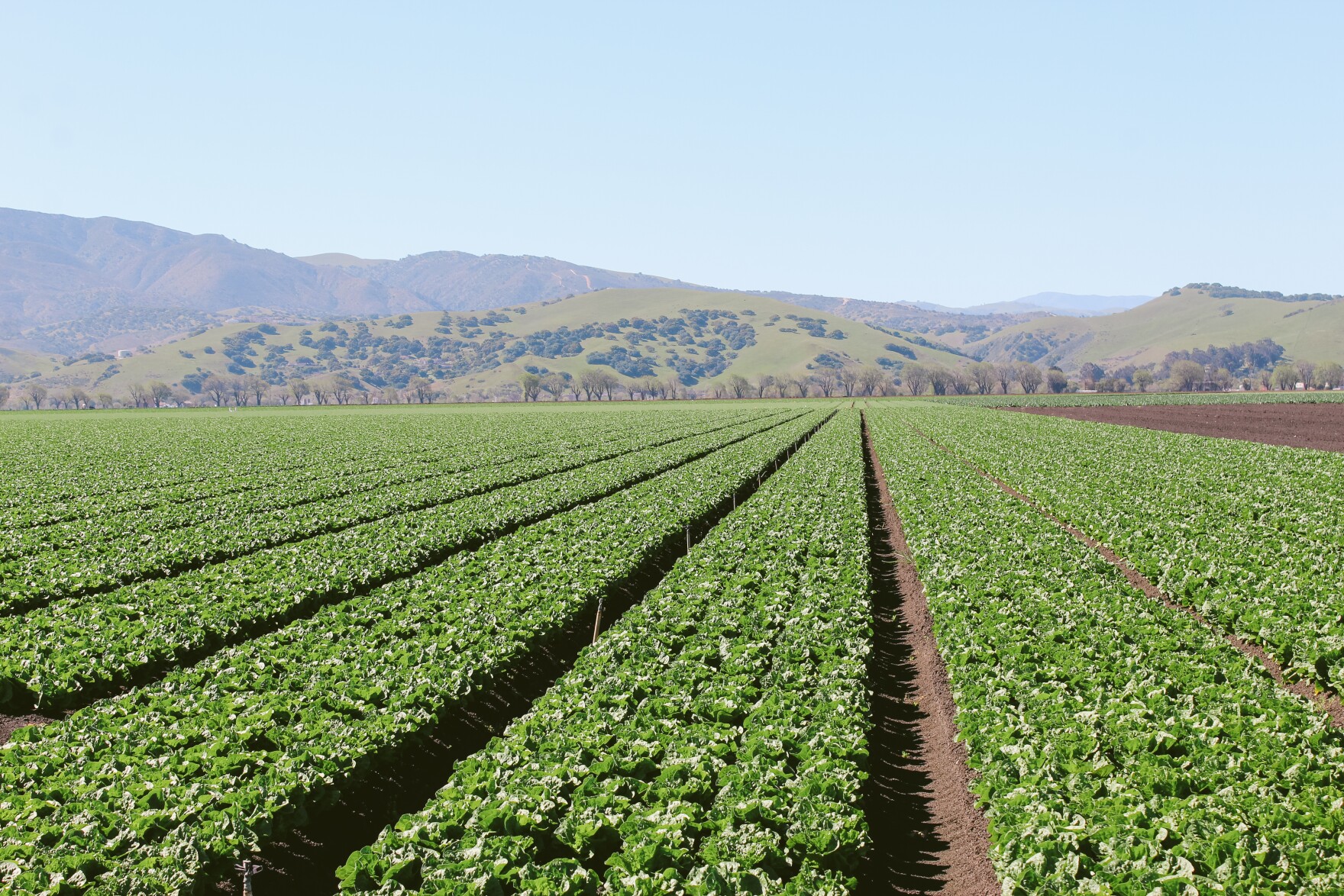 Trump budget cuts hit local farm conservation program, and Sen. Padilla blasts Justice nominees ...