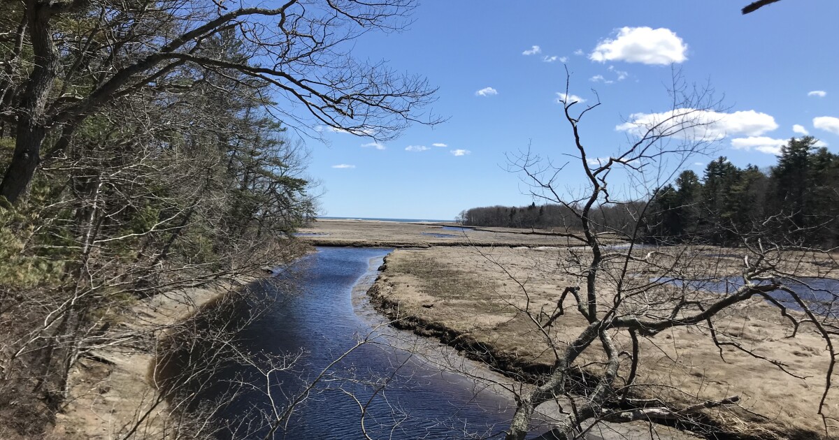 Former federal workers from Maine recount experiences of being abruptly ...