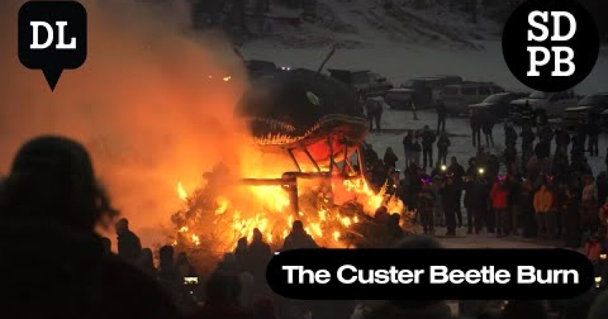 Burn Beetle Burn | Dakota Life | SDPB