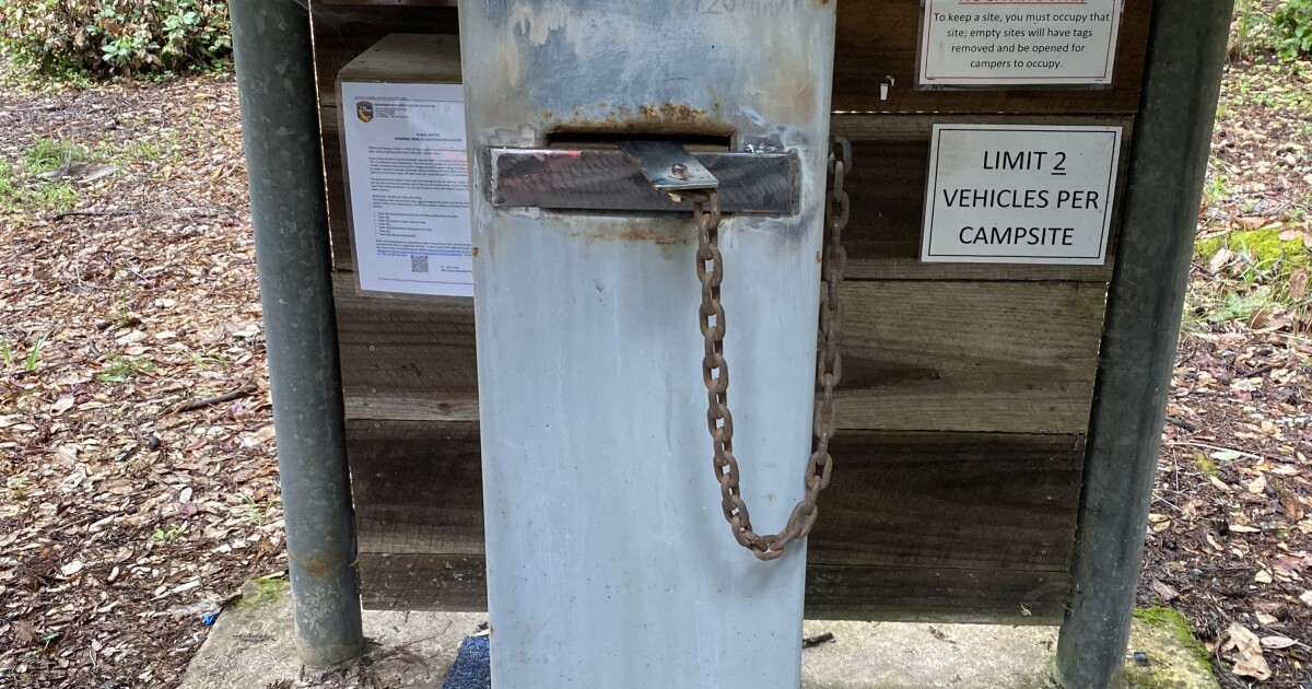 Newscast: Crime Spree and Cleanup: CAL FIRE Prepares Jackson Forest ...