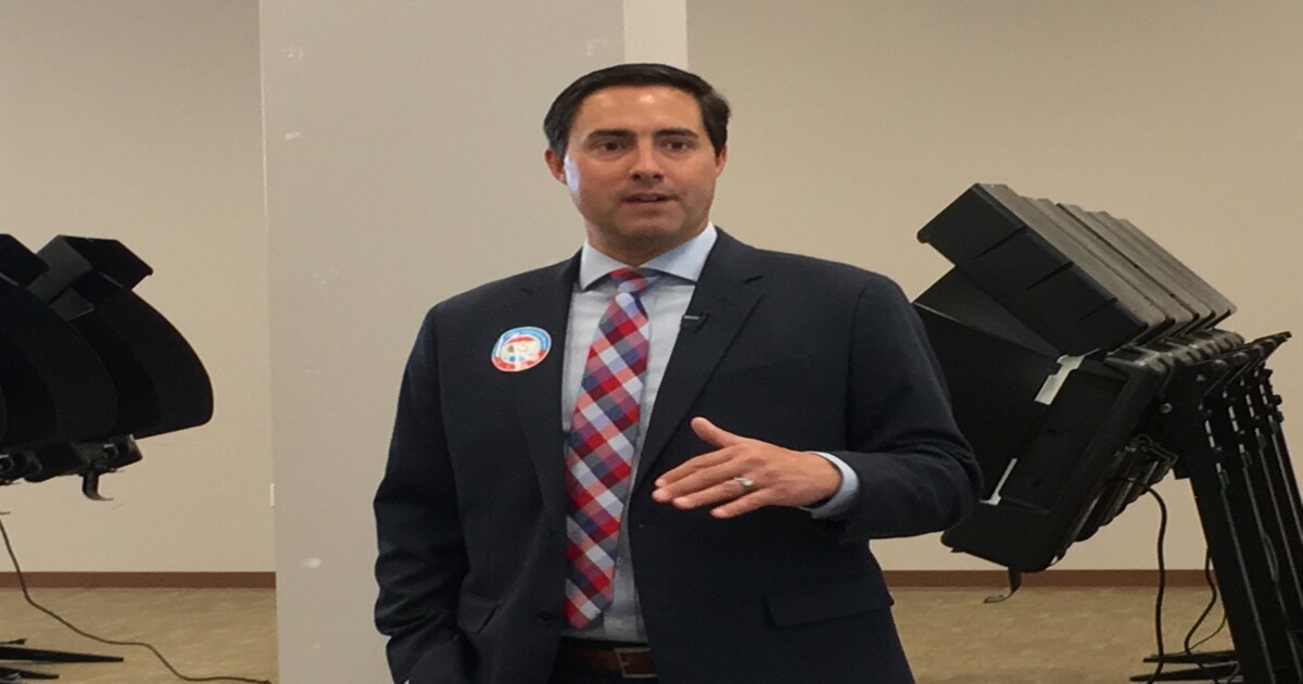 Elections Chief Says Nuke Bailout Law Campaign Shows Reform Is Needed ...