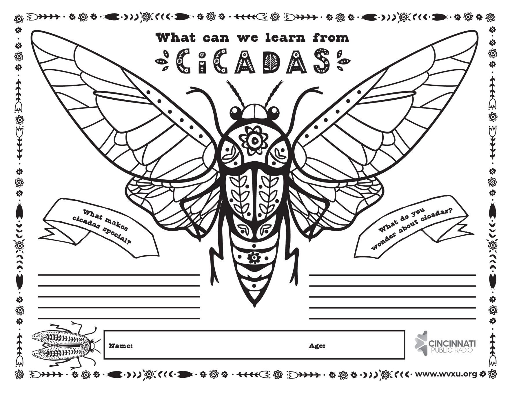 ZOOM: What Can We Learn From Cicadas? | WVXU
