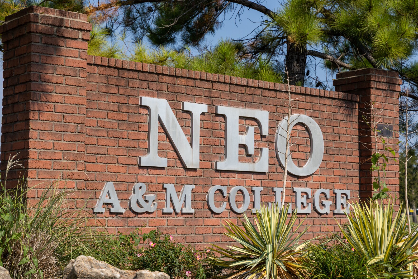 Oklahoma colleges with large Indigenous student populations are losing ...