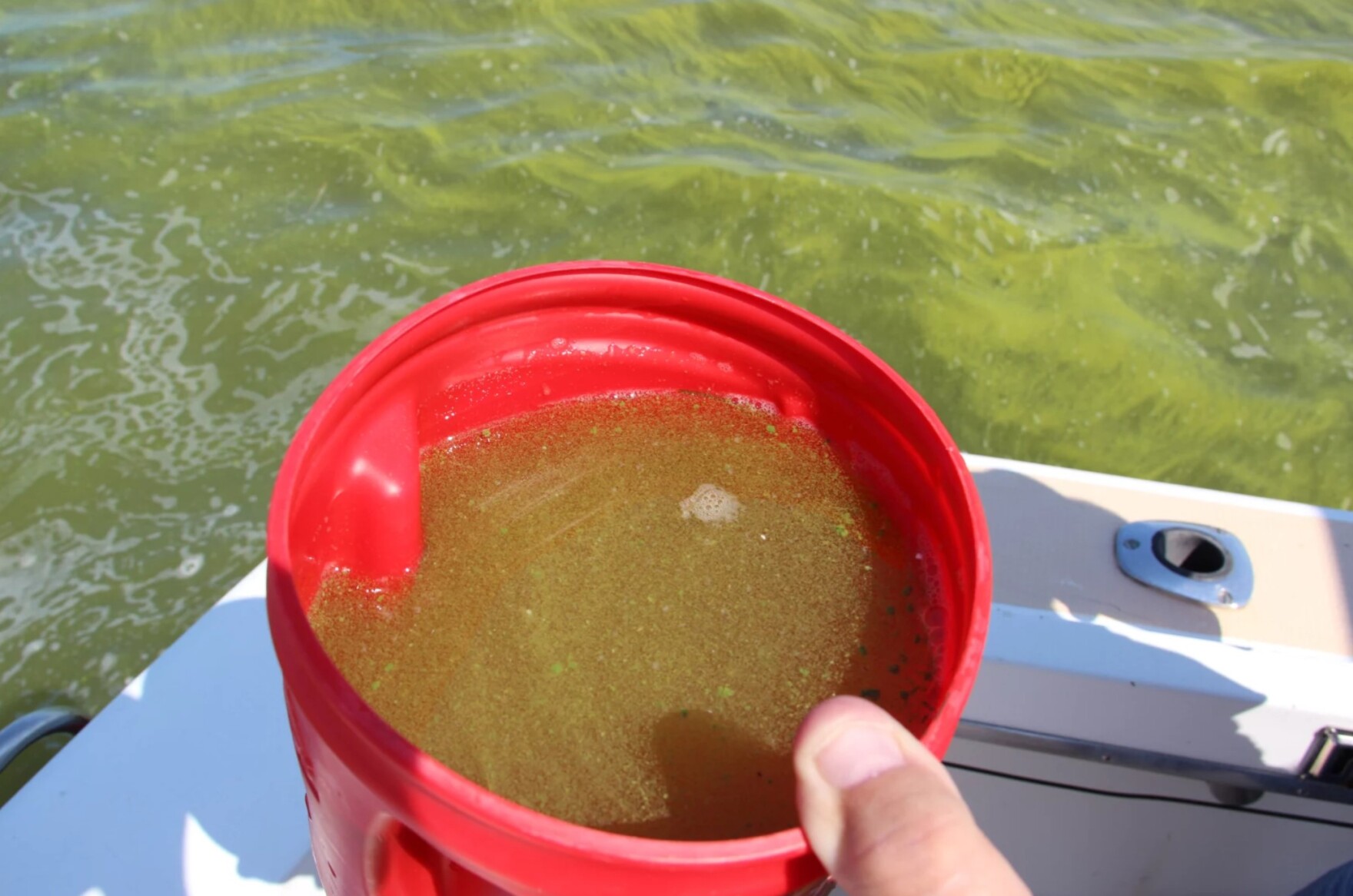 Toxic blooms on Lake Erie still a problem 10 years after Toledo issued a 'do not drink' order