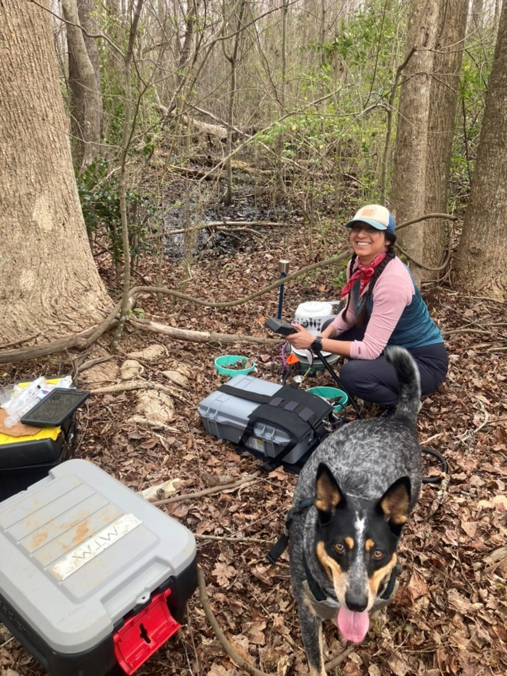 A new Dartmouth study examines how to include Indigenous data in ...