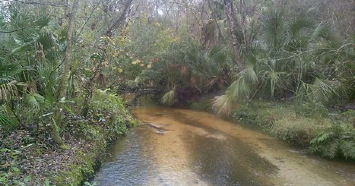 Polk agency challenges decision allowing Tampa Bay area to pull more ...
