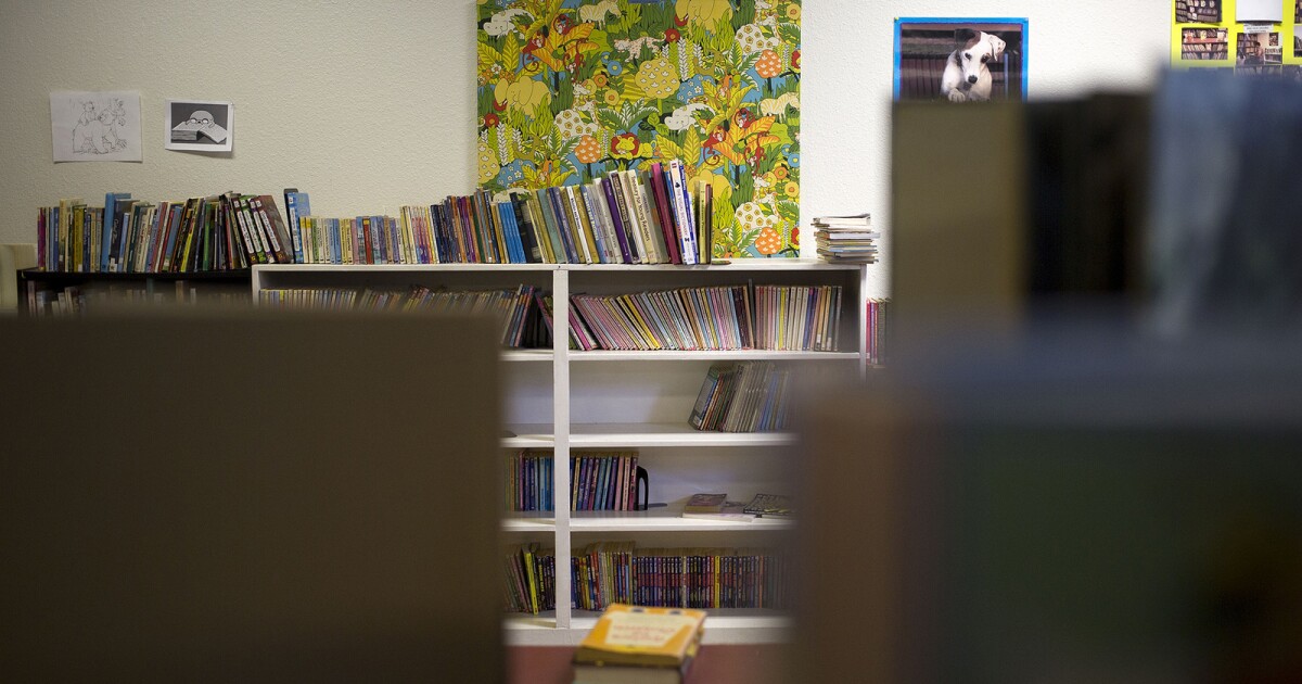 Texas lawmakers debate which books belong in school libraries | Marfa ...