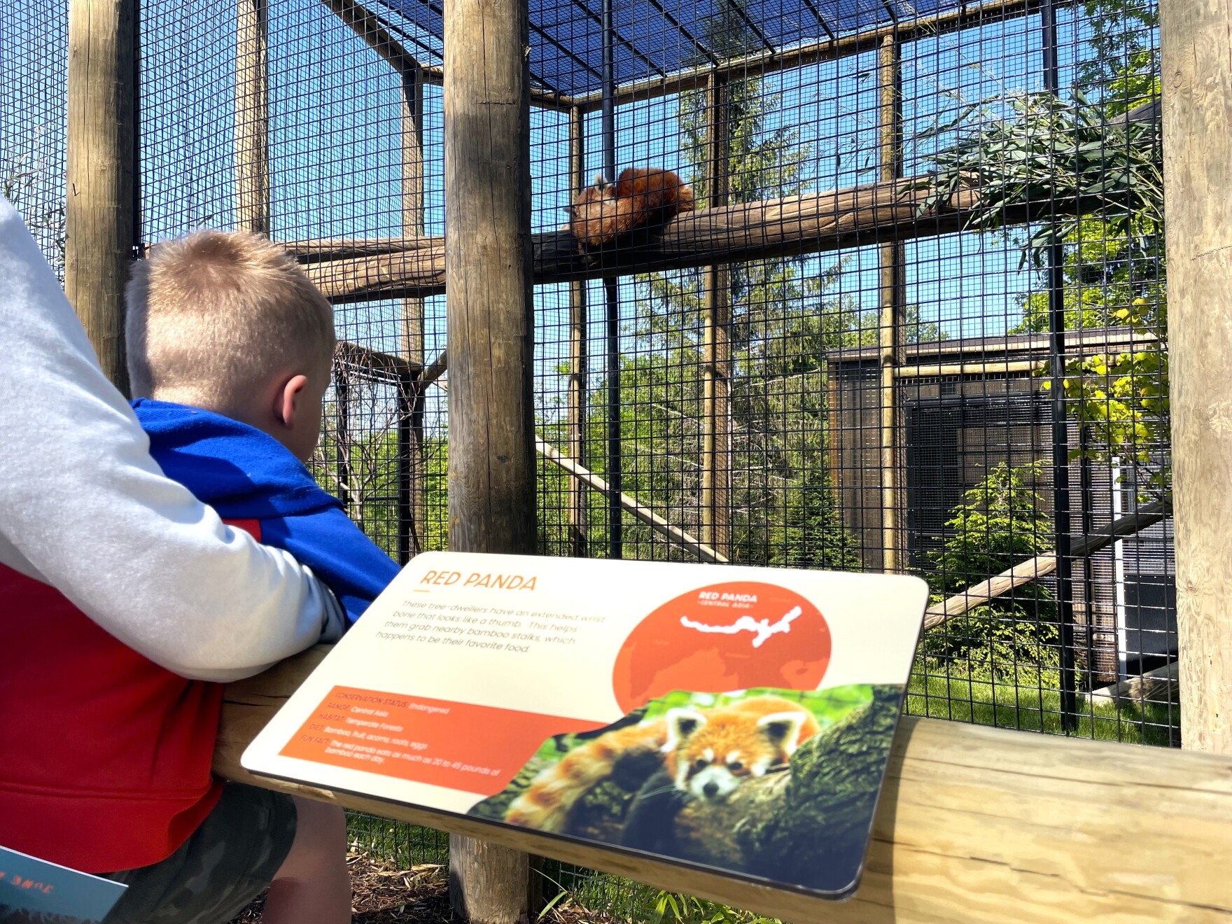 Fort Wayne Children's Zoo to alter name in 2025 | WBOI - NPR News ...