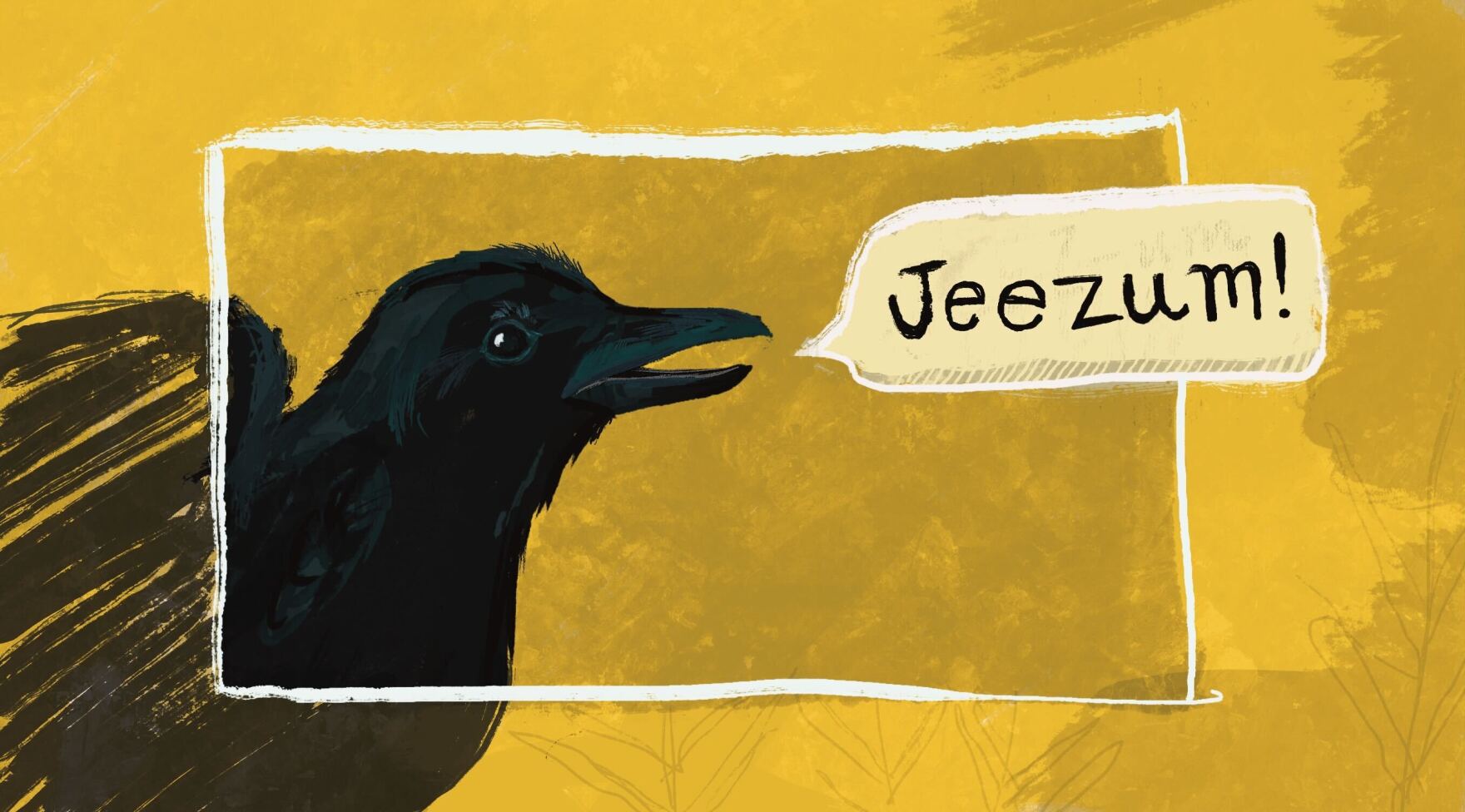 ‘Jeezum crow’! The disputed origins of a quintessential Vermont phrase ...