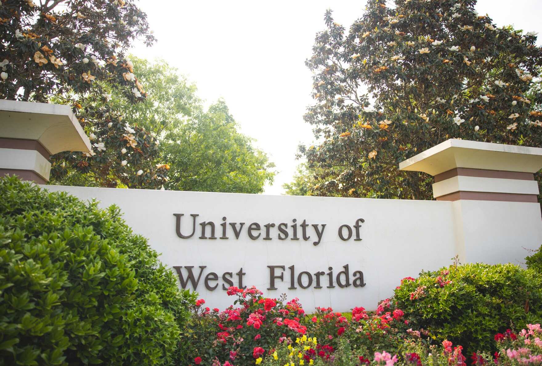 UWF Trustee Scott Yenor has resigned | WUWF