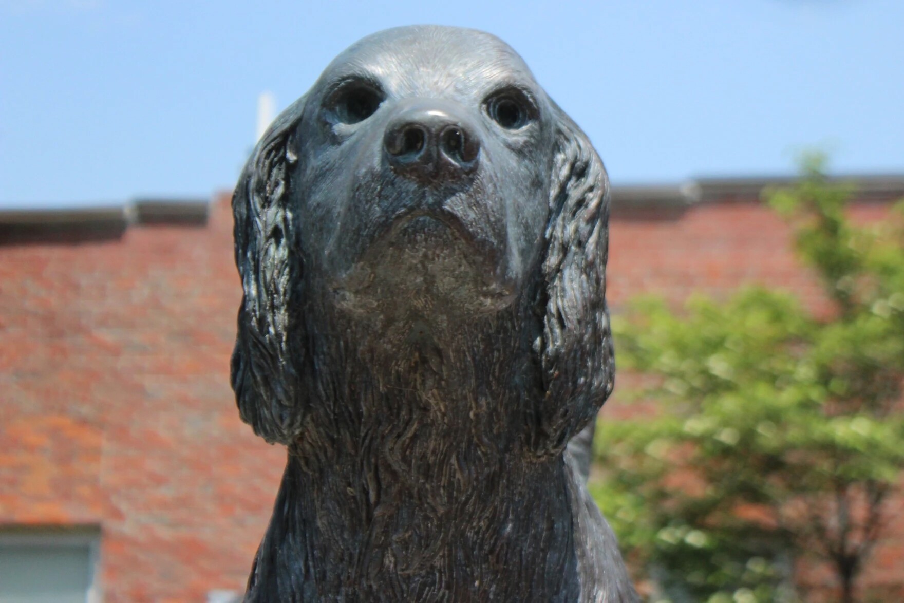 A Missouri town is celebrating the 100th birthday of Jim, the official ...