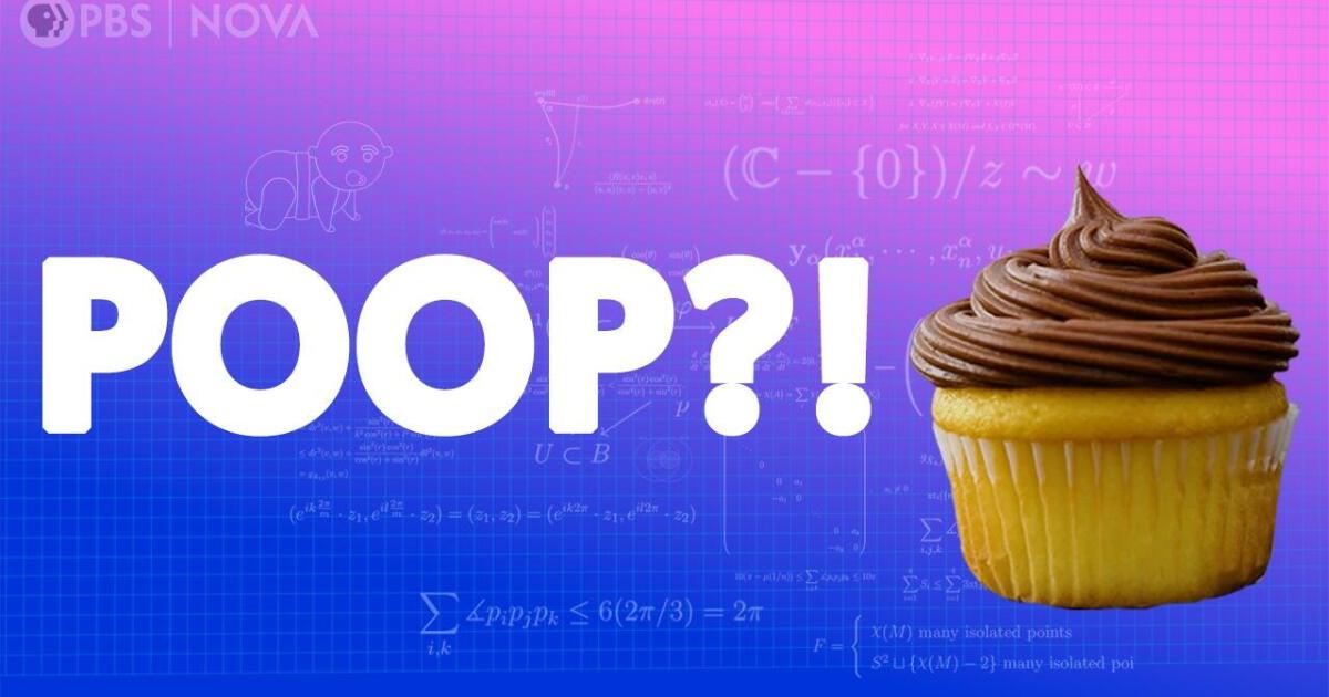 What Should Your Kids' Poop Look Like?