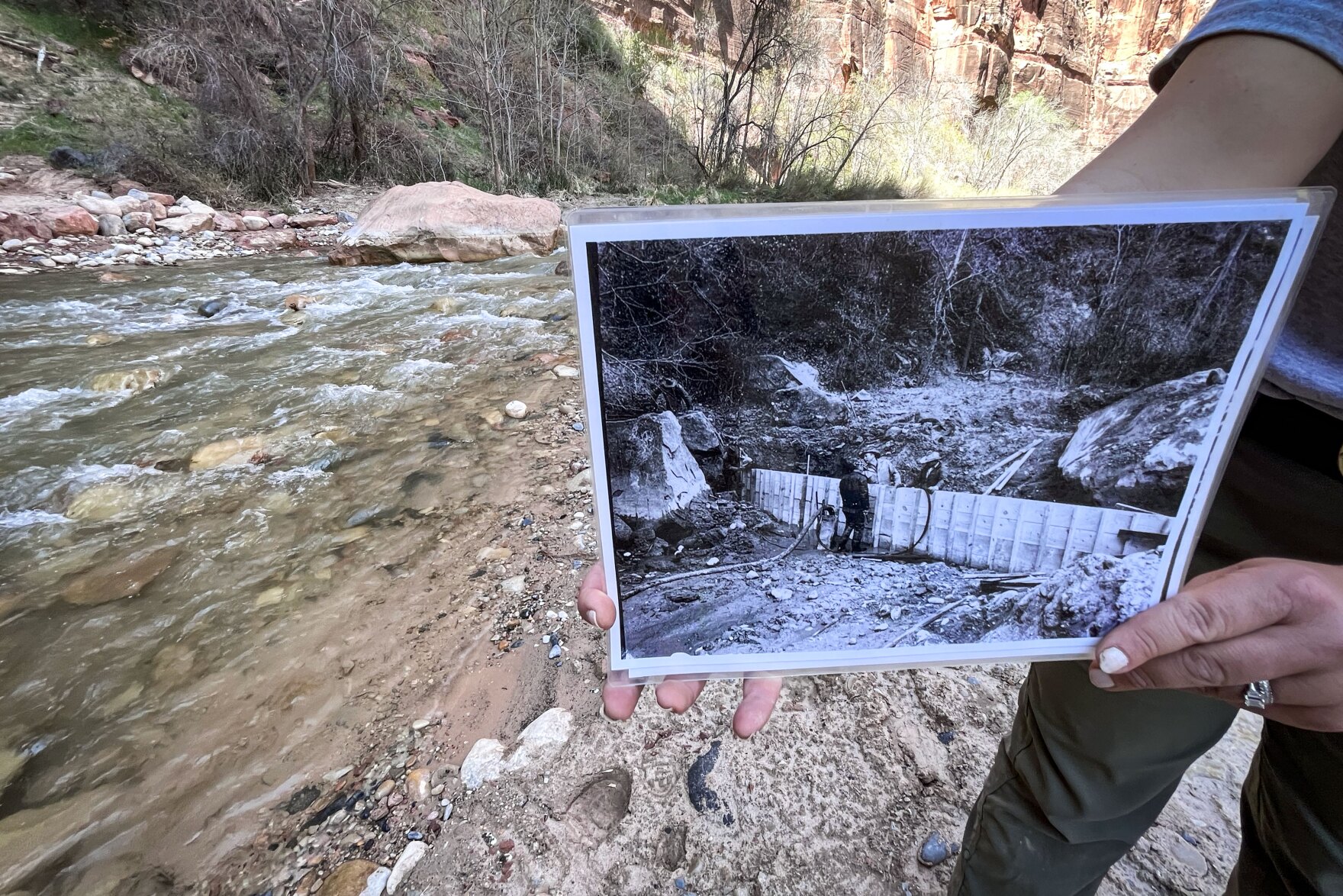For 68 years, a small dam kept fish trapped in Zion National Park. Now ...