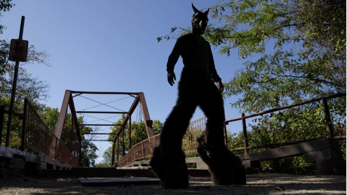 goatman's bridge steve