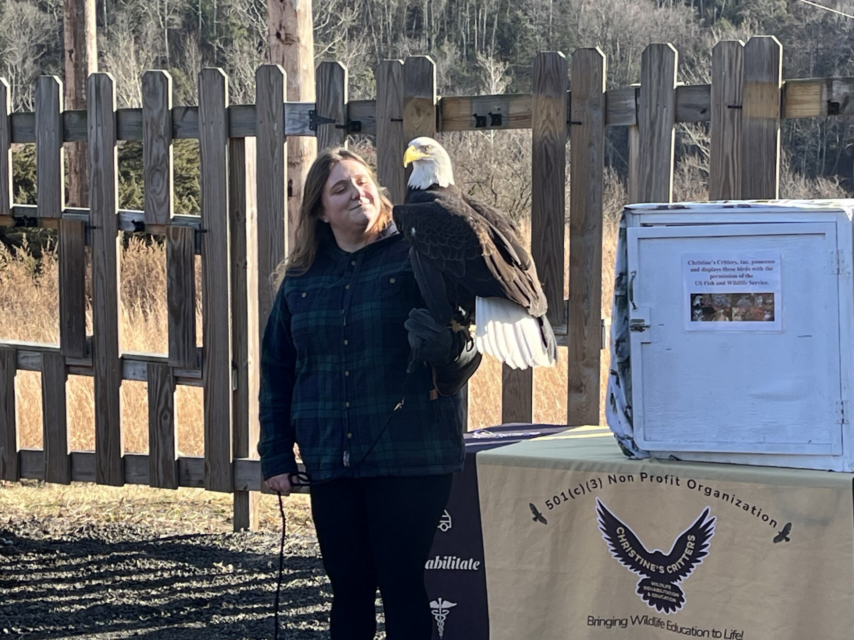 Bald eagles thrive in CT as Shepaug Observatory celebrates 40th season