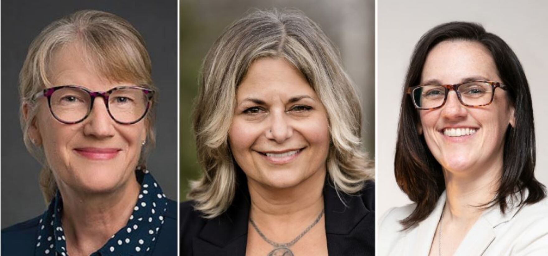 DeVinney, Ellis and Rumohr are eyeing the District 3 seat on Denton ...
