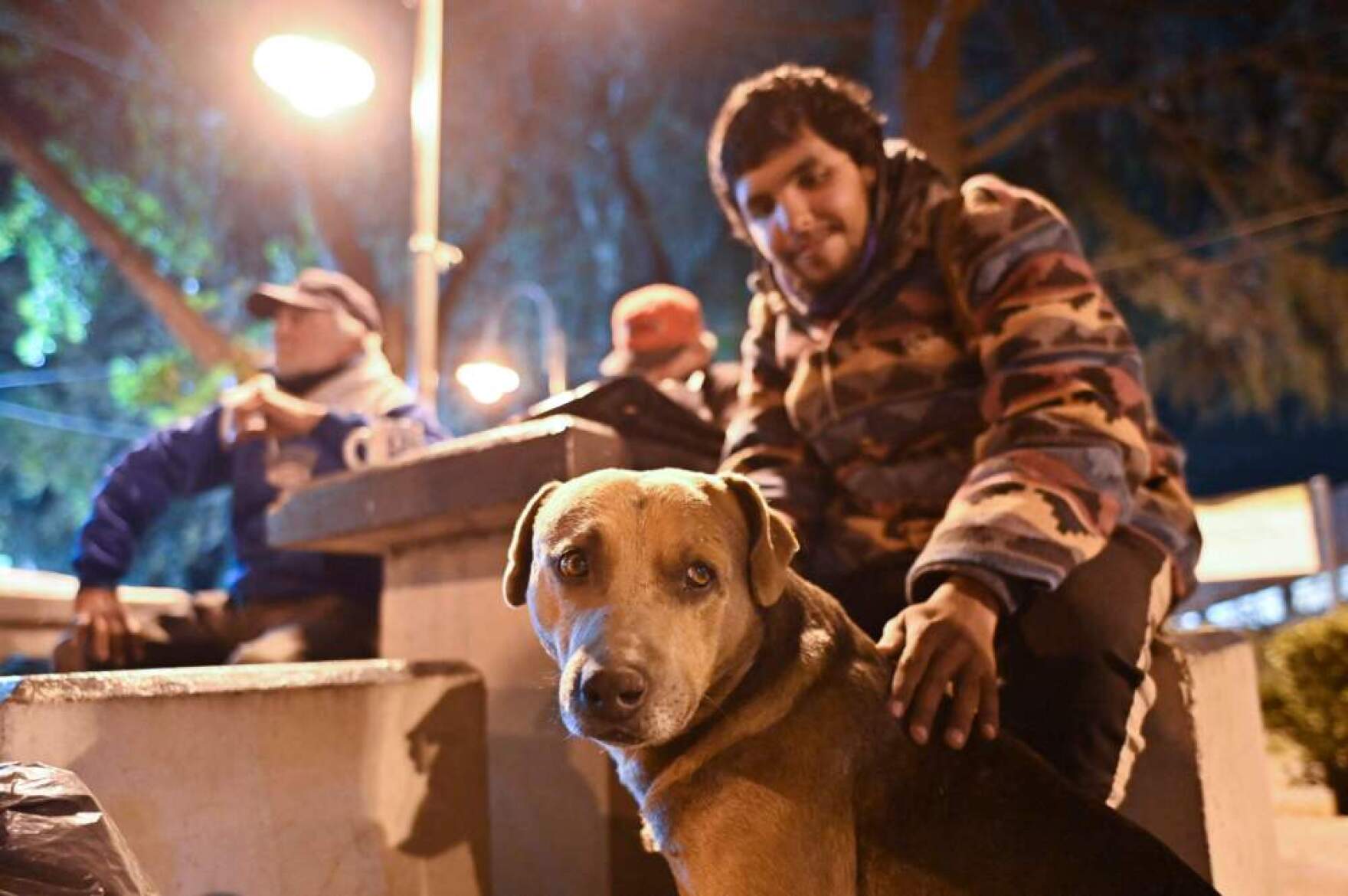 How owning a pet can complicate finding shelter for unhoused people