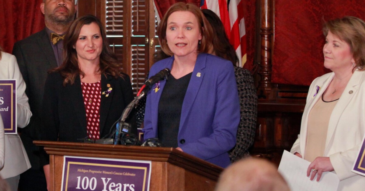 Brinks, Winstrom talk gun storage laws ahead of effective date | WGVU NEWS