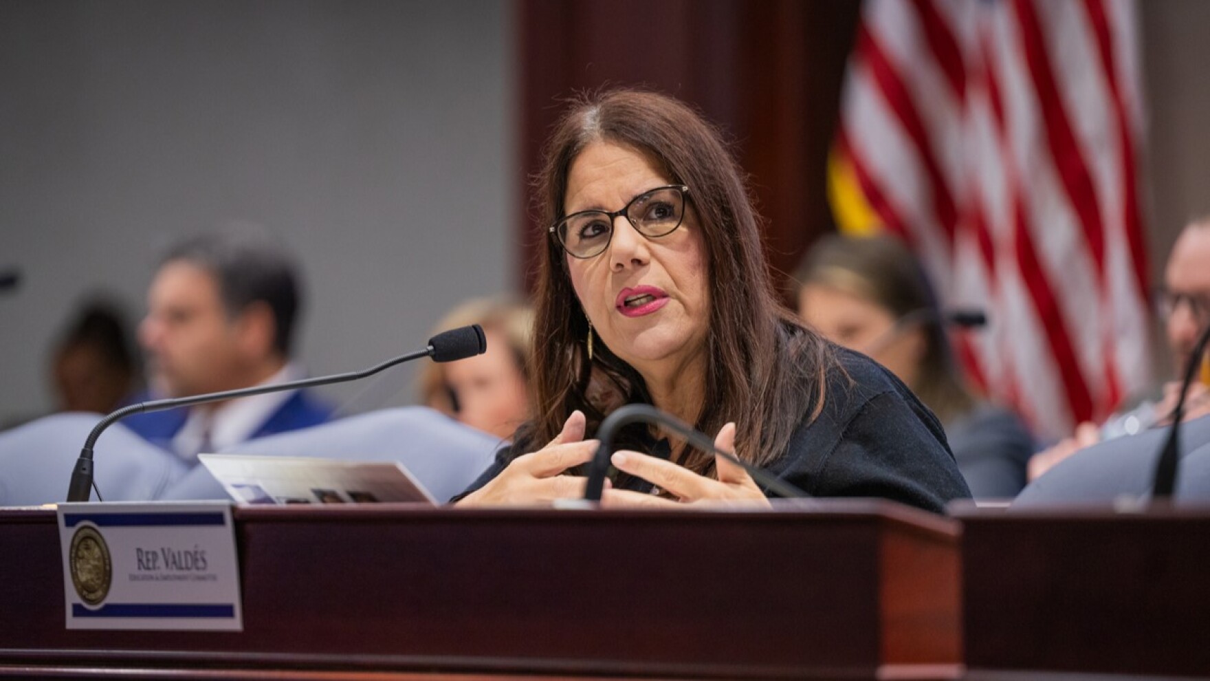 Tampa's Susan Valdes jumps to GOP, adding to Florida House ...