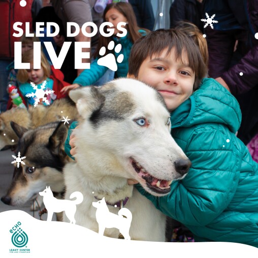Sled Dogs Live at ECHO | Vermont Public