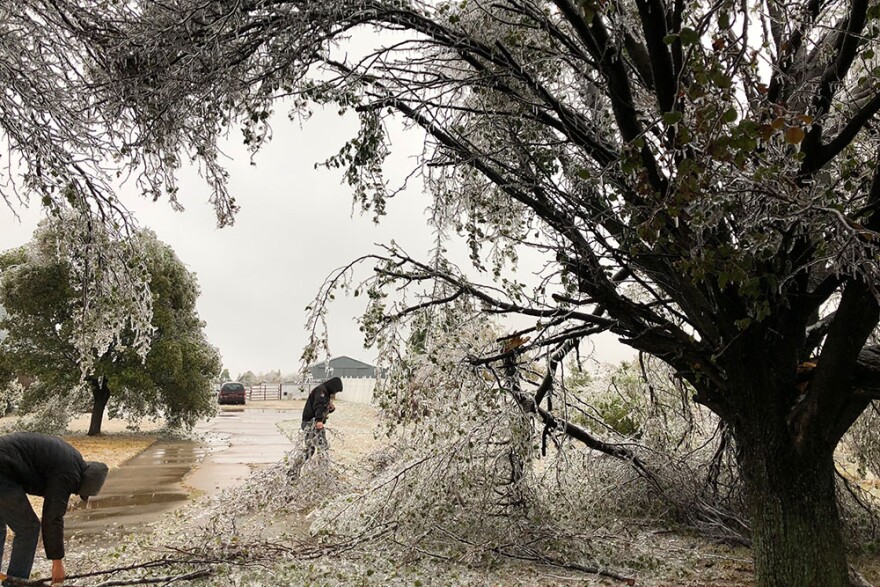 Oklahoma City Announces Plan For Ice Storm Debris Clean-Up | KOSU