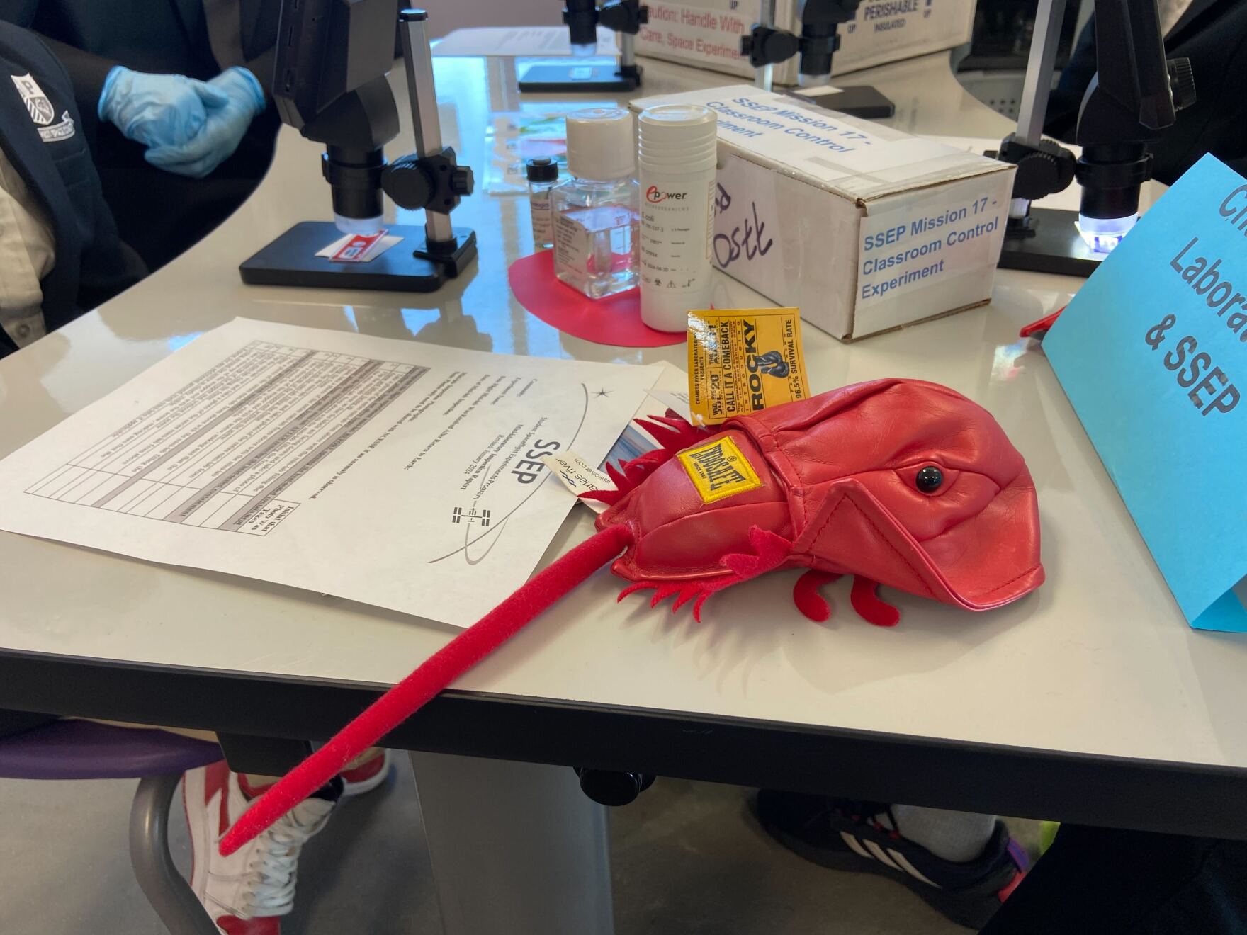 Why the 'Bacteria Boys' sent horseshoe crab blood to outer space | WUSF