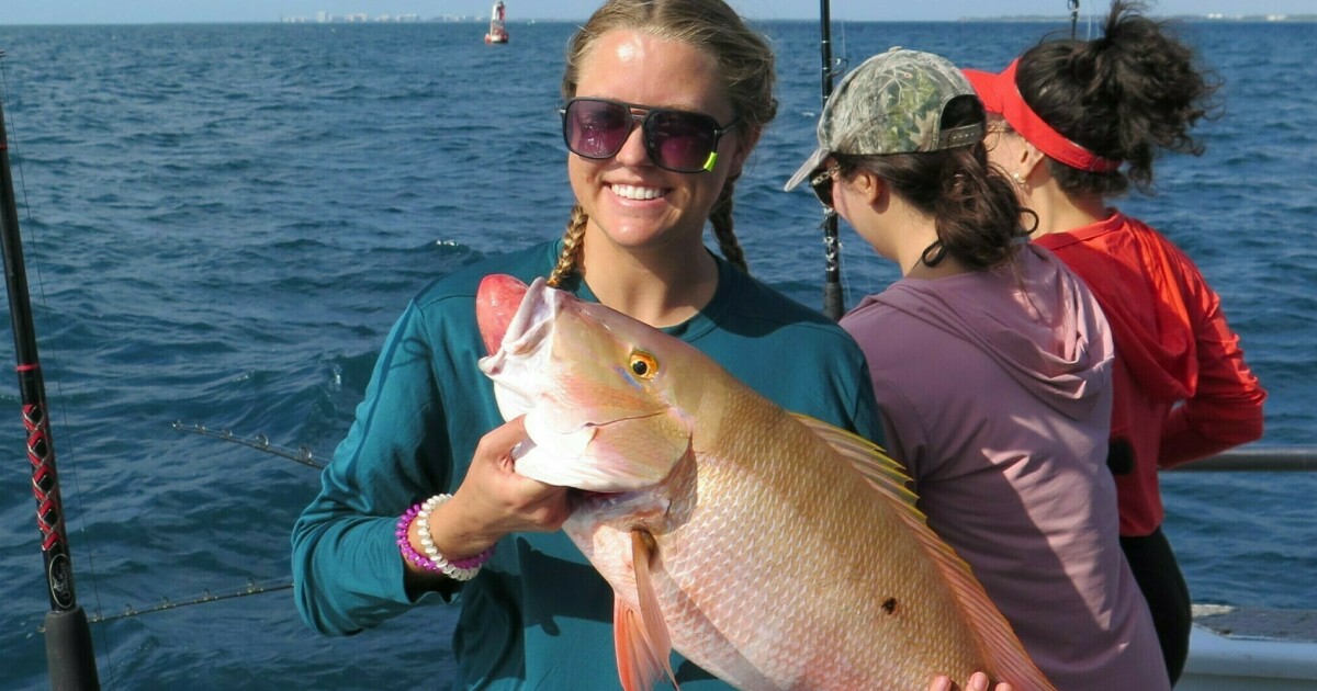 After catch and release, here's how to make sure reef fish survive | TPR