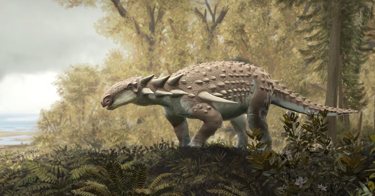 kotasaurus dinosaur