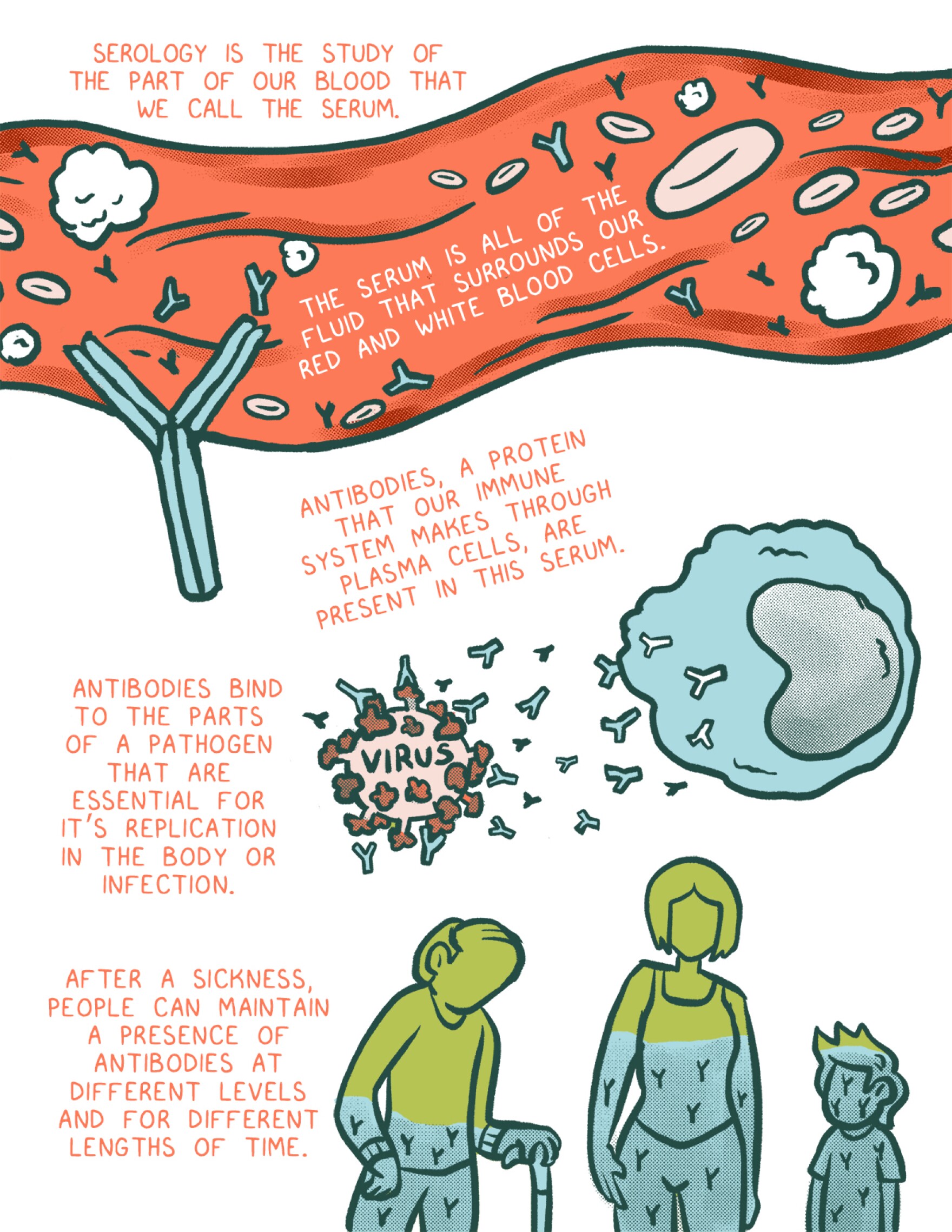 Confused About Antibodies Let Our Comic Featuring Many Llamas confused-about-antibodies-let-our-comic-featuring-many-llamas