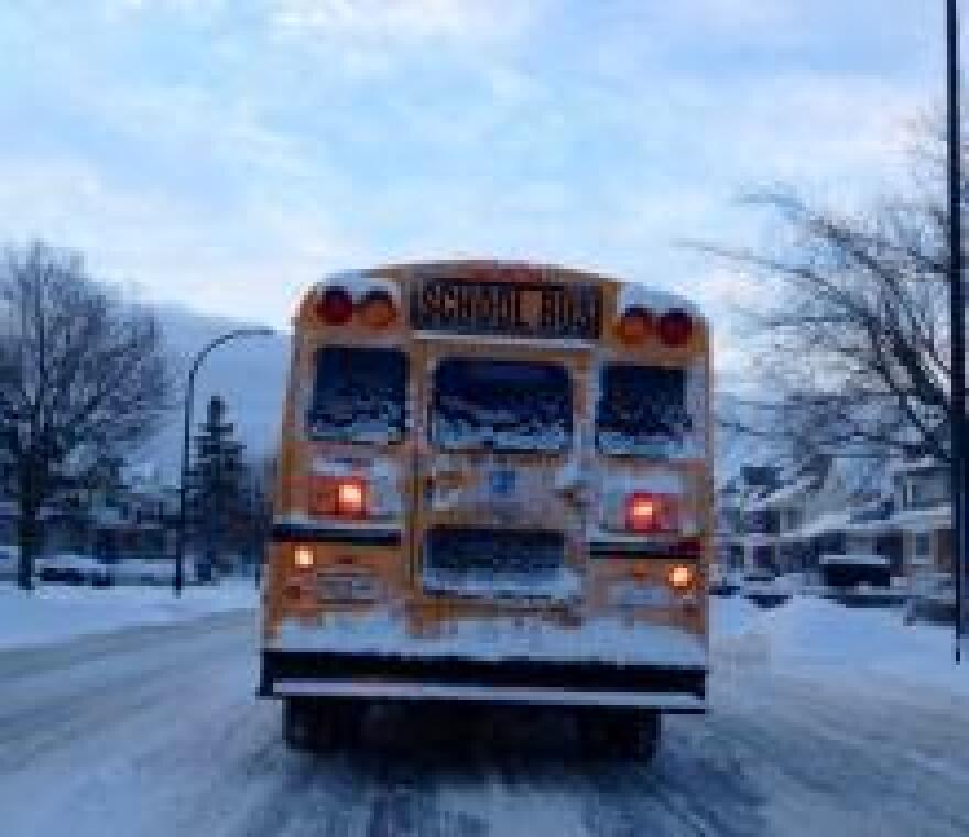 bemus point school closing