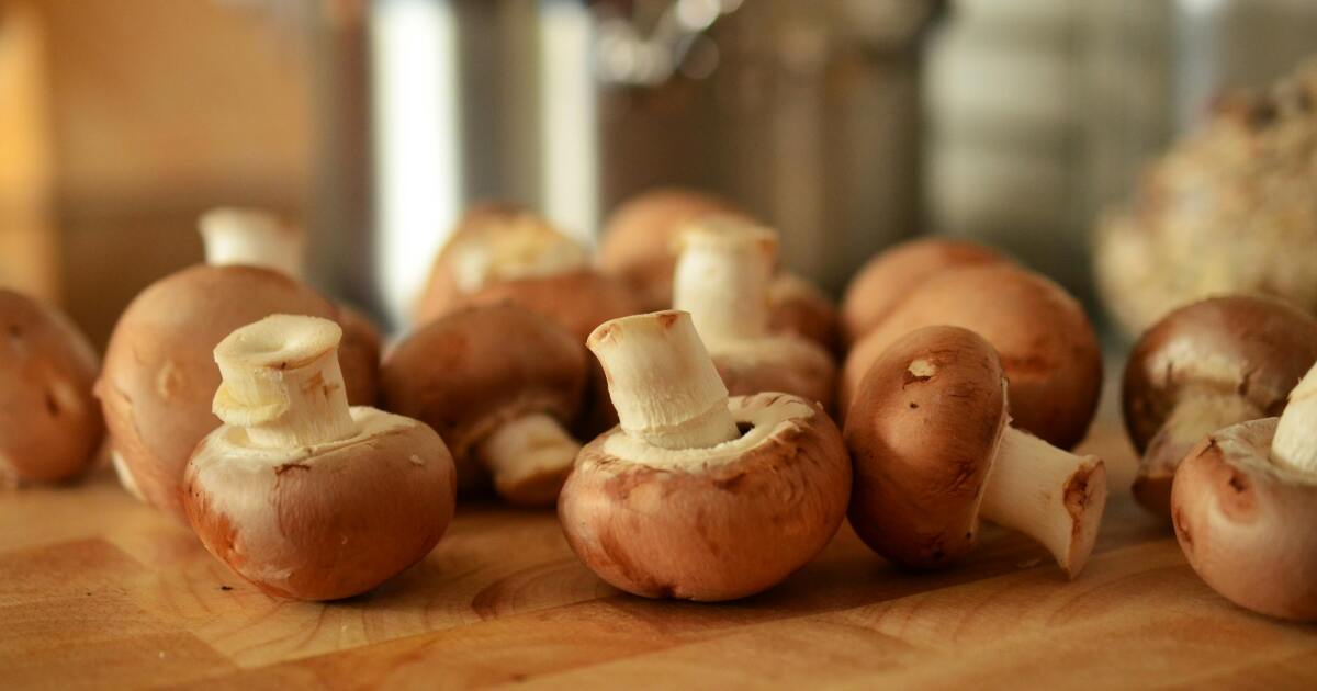 National Mushroom Day is October 15 | WKNO FM