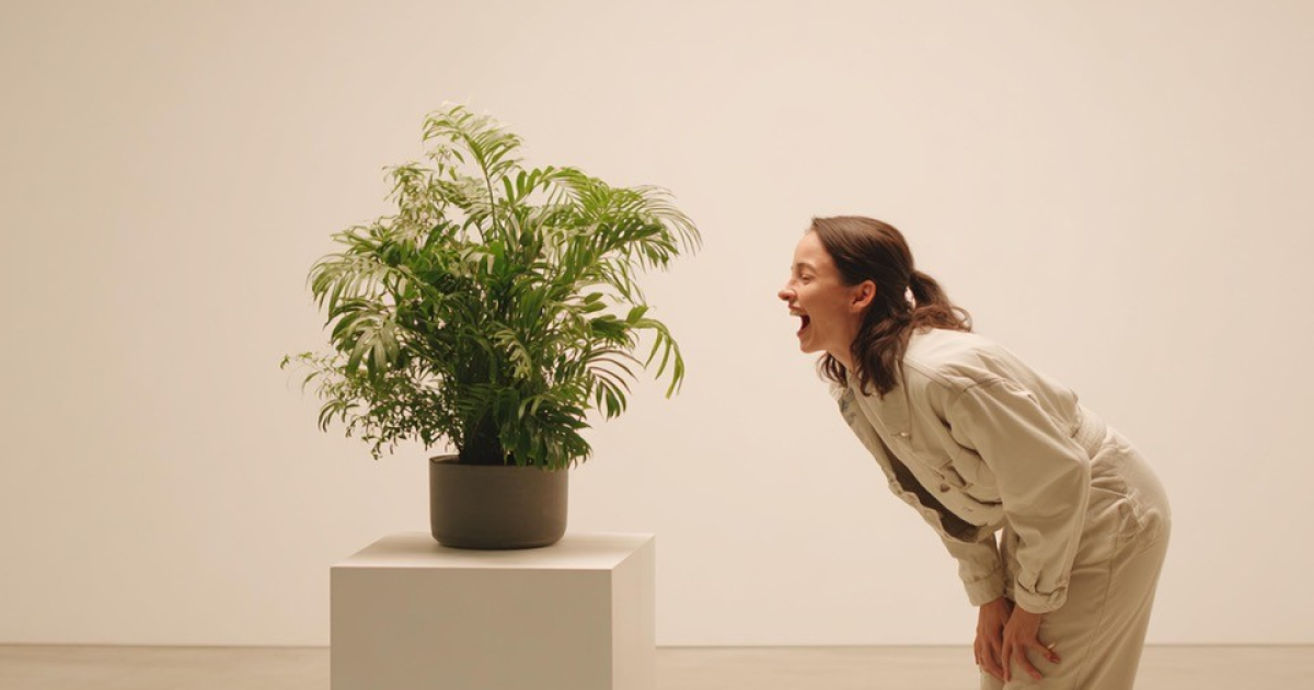 Talk to Your Plants: The Weird Science Behind It (It Really Works)