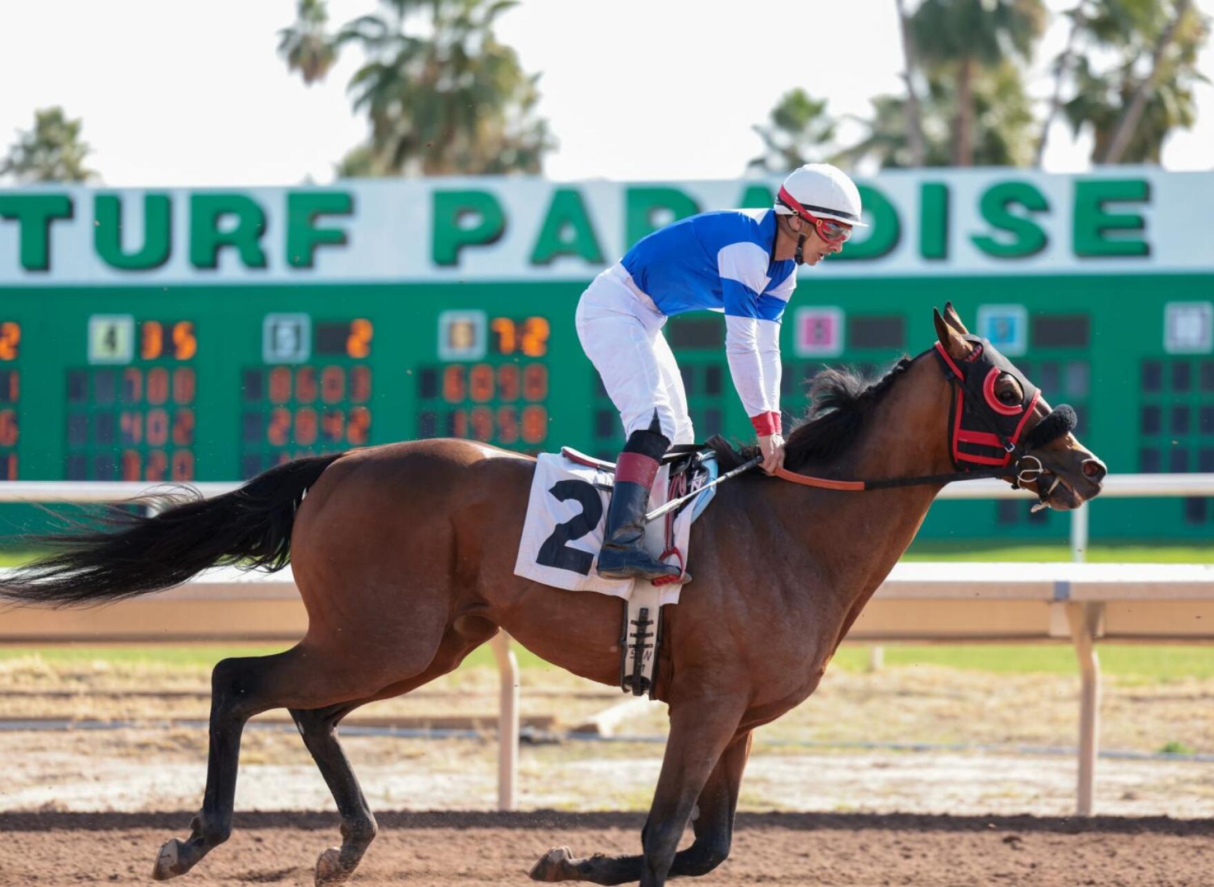 Turf Paradise celebrates grand reopening under new ownership