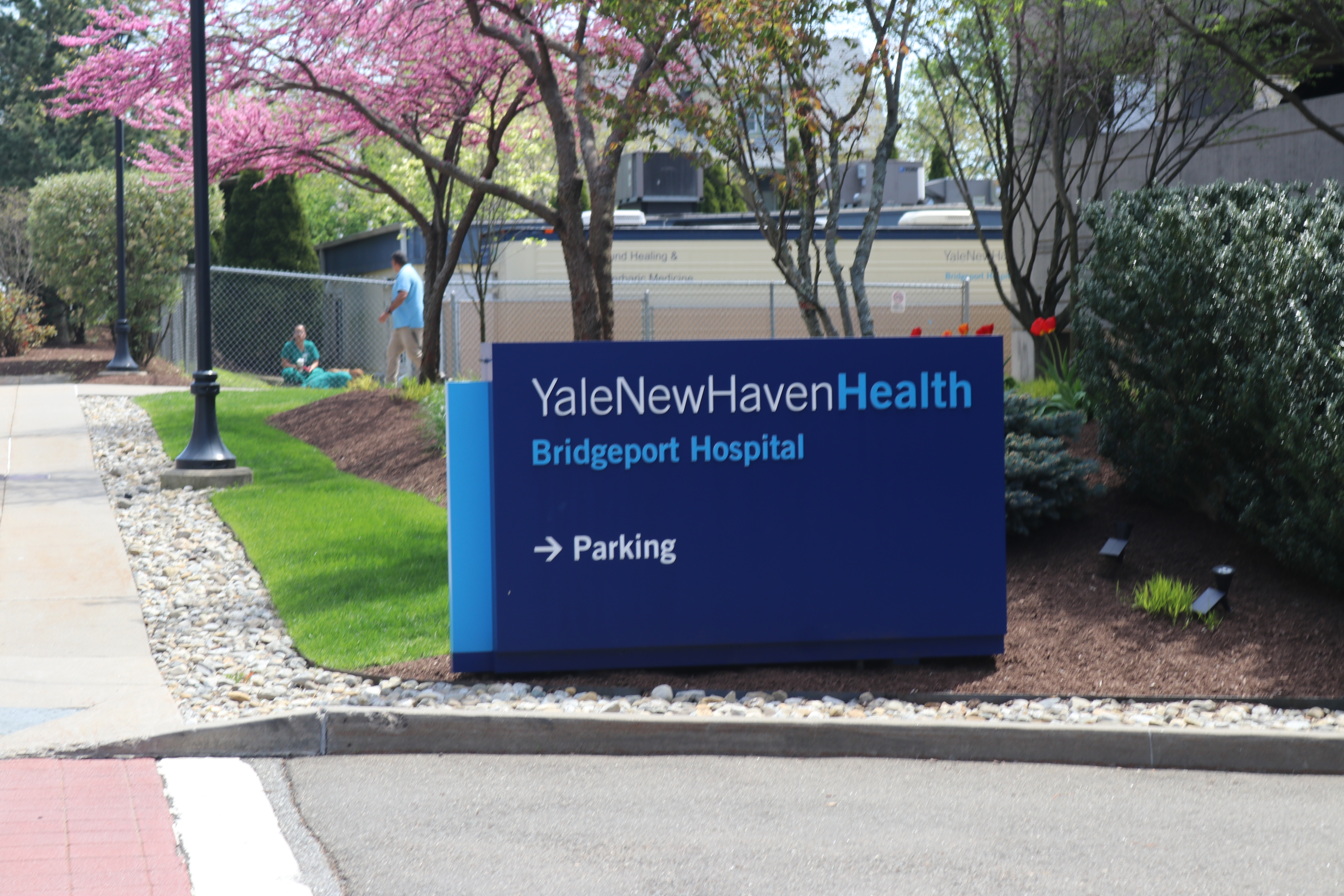 Yale New Haven Health Logo