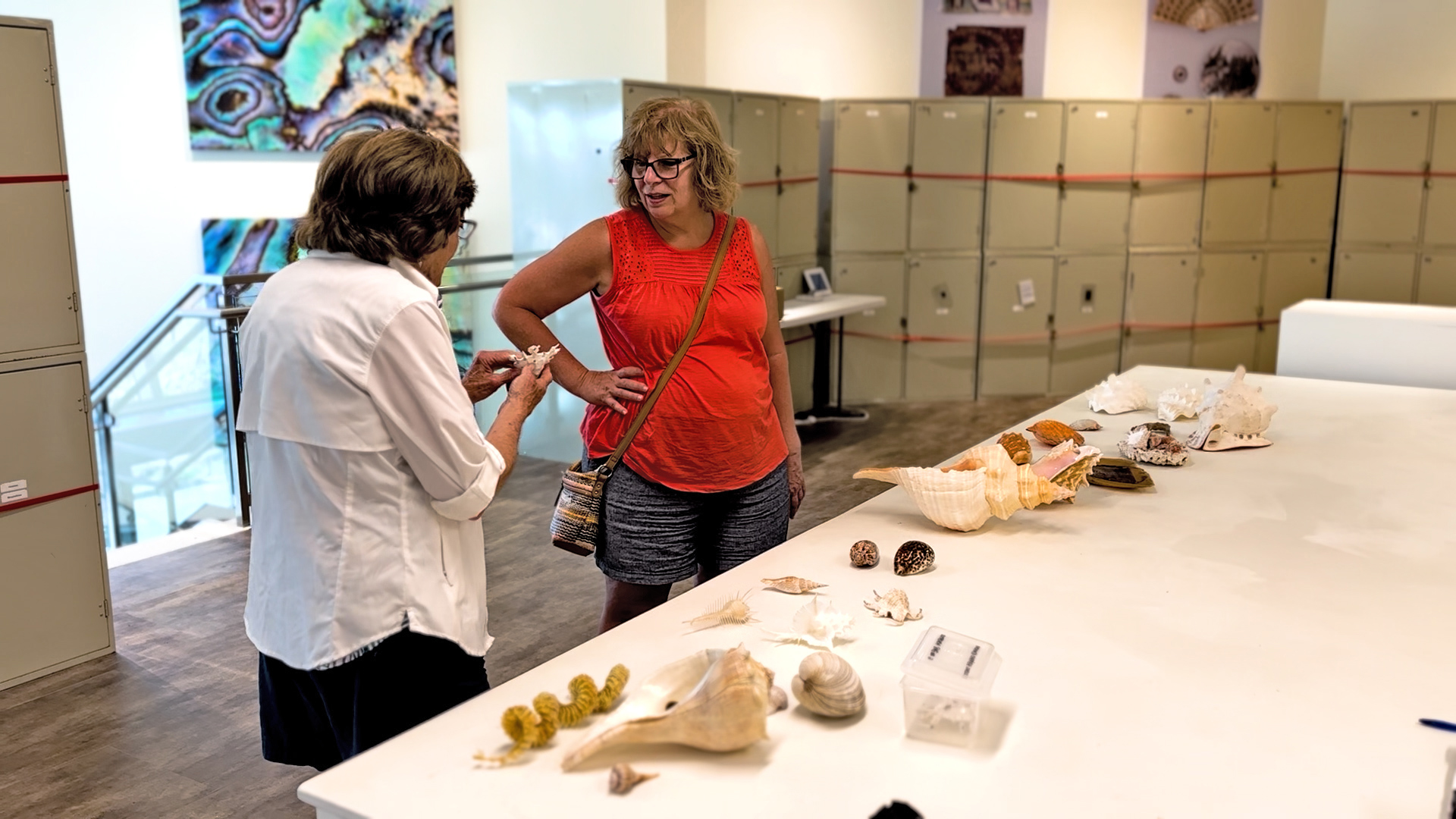 Bailey Matthews Shell Museum Sanibel