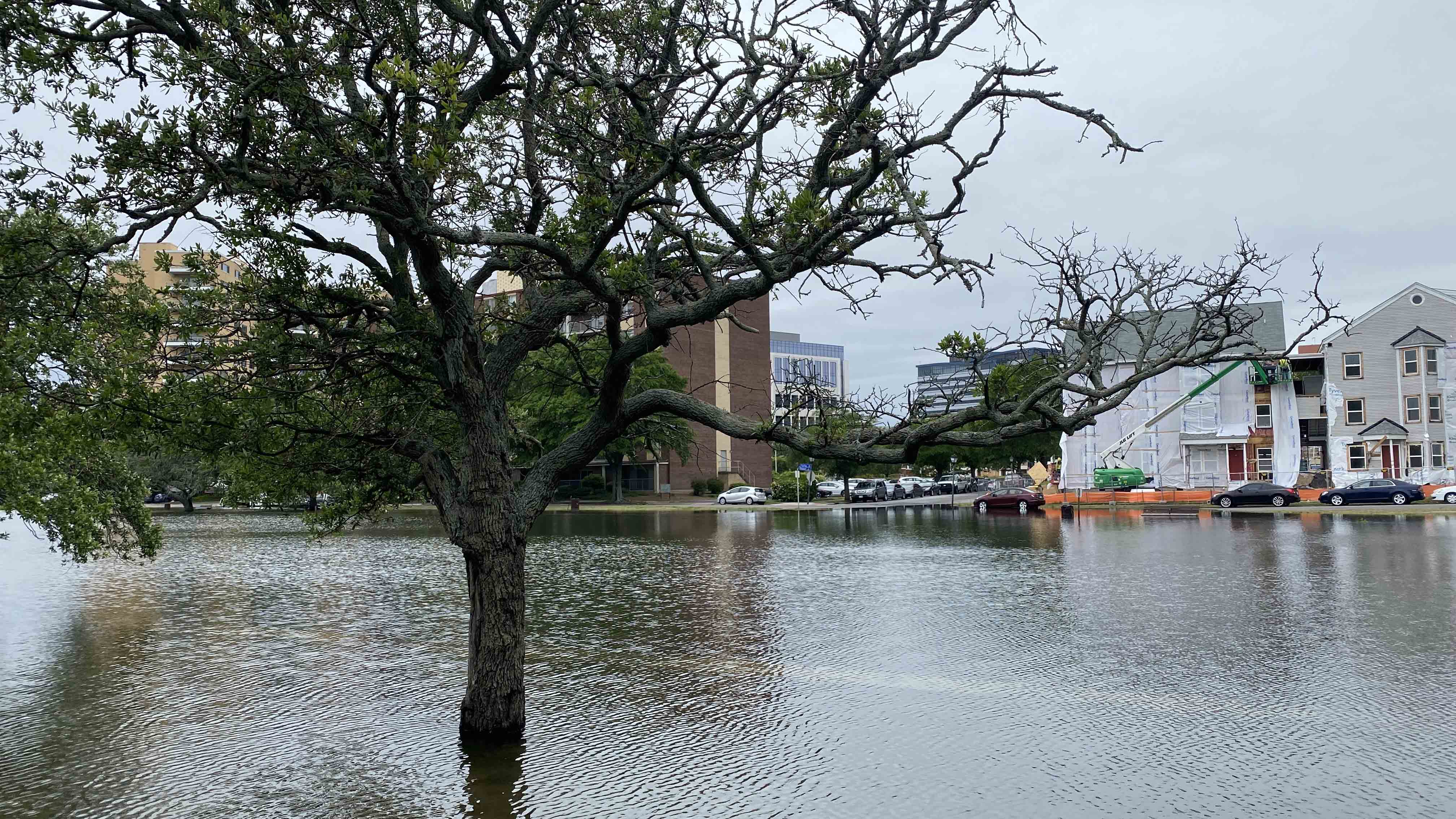 Herald Island High Tide