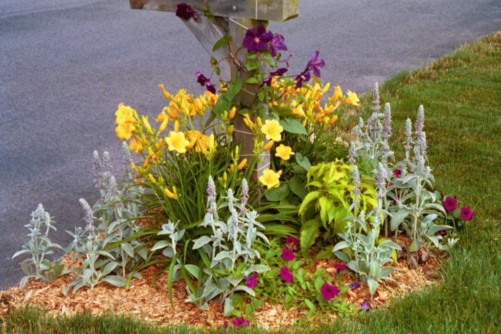 Mailbox Perennial Planting Ideas