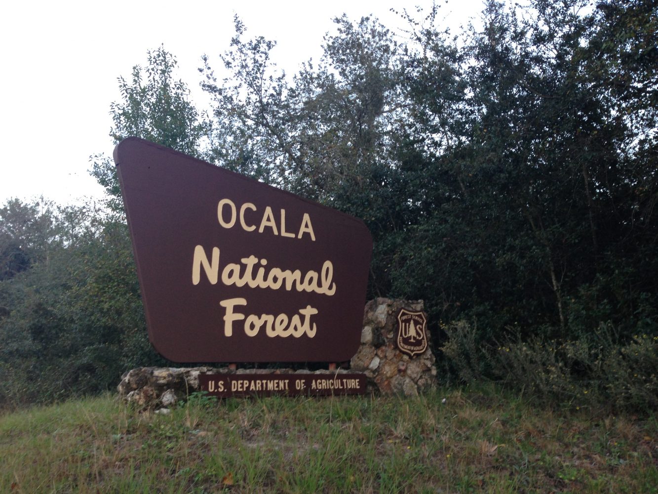 Ocala National Logo