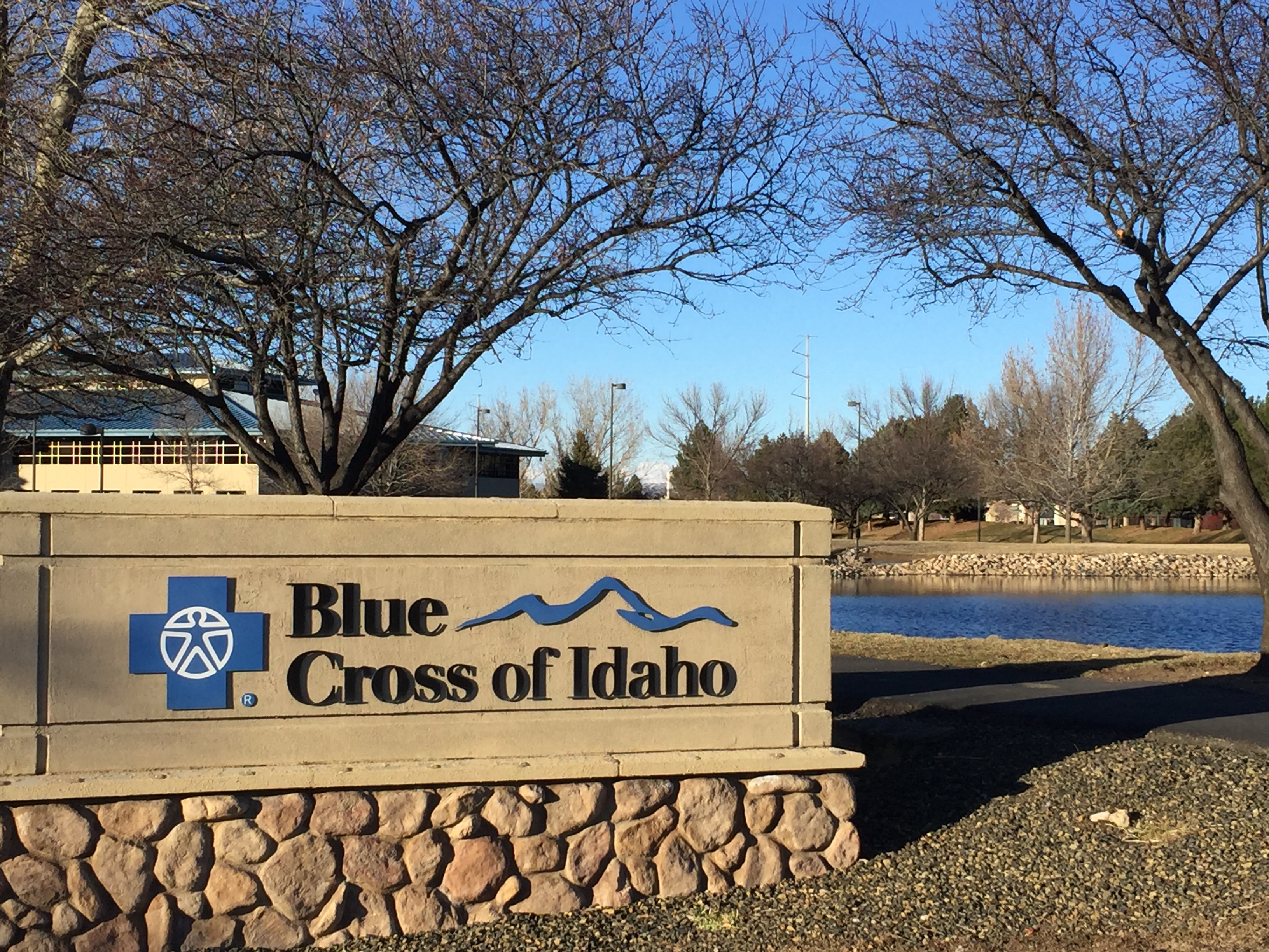 Blue Cross Of Idaho Logo