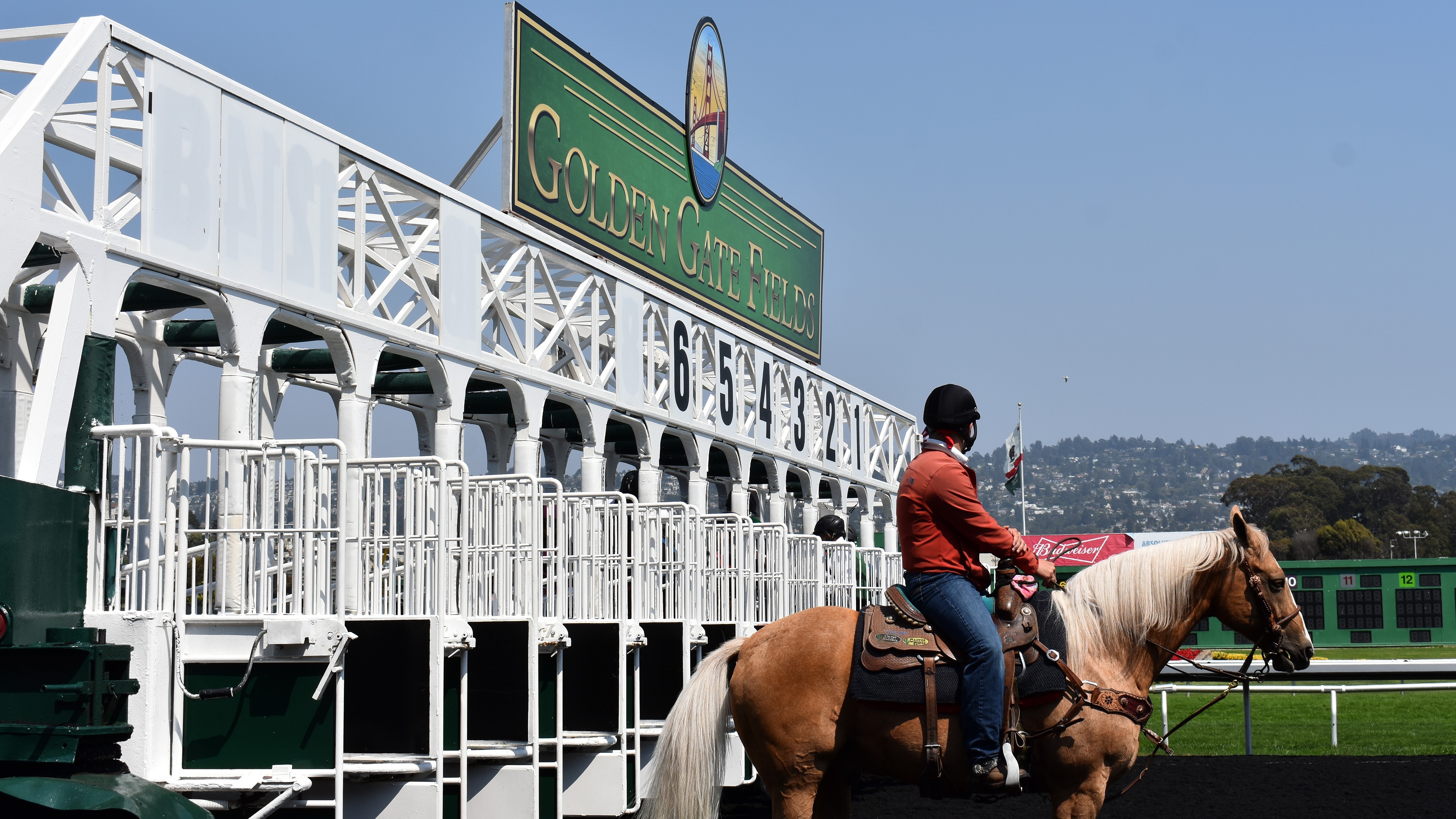 Are Dogs Allowed At Golden Gate Fields