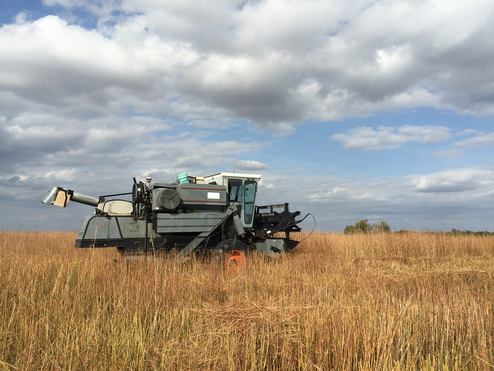 Great Plains Farming