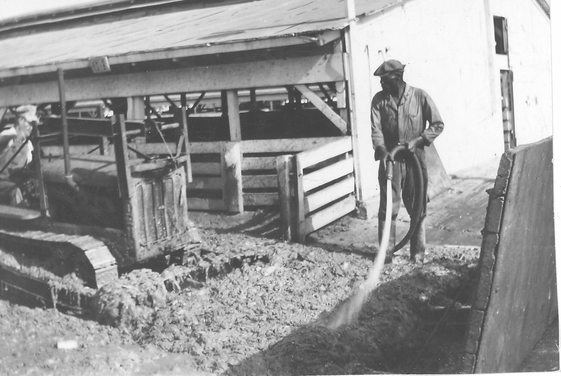 Kansas City Union Stockyard The History Of The Kansas City Stockyards