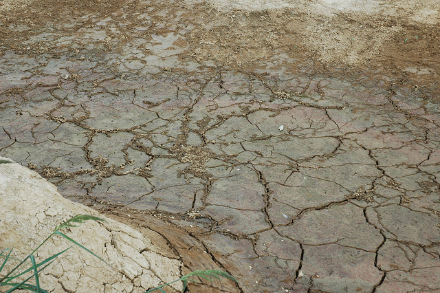 KERA - PBS, NPR and more for North Texas and the world